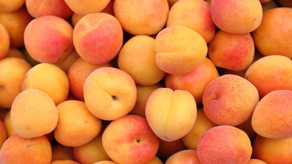 Apricot Fragrance Attar & Perfume - IttarStore